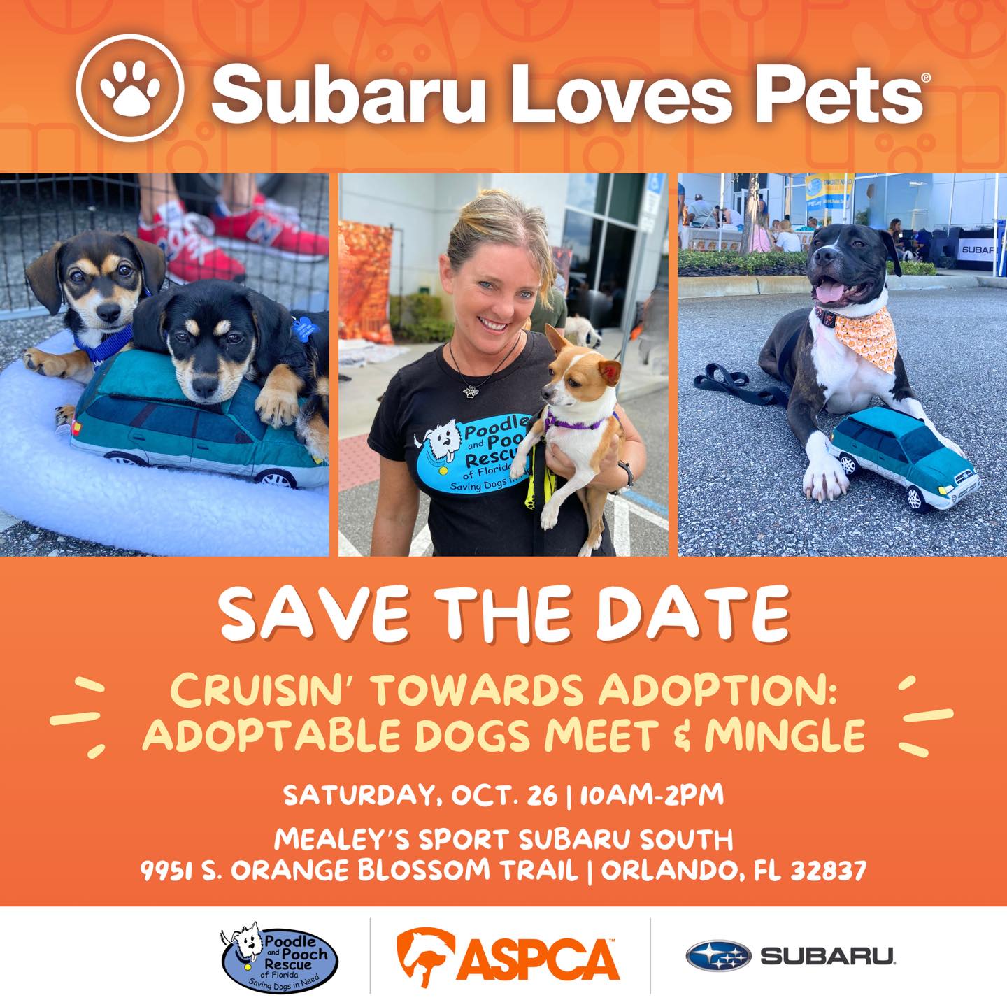 Save the Date! - News - Poodle and Pooch Rescue of Florida