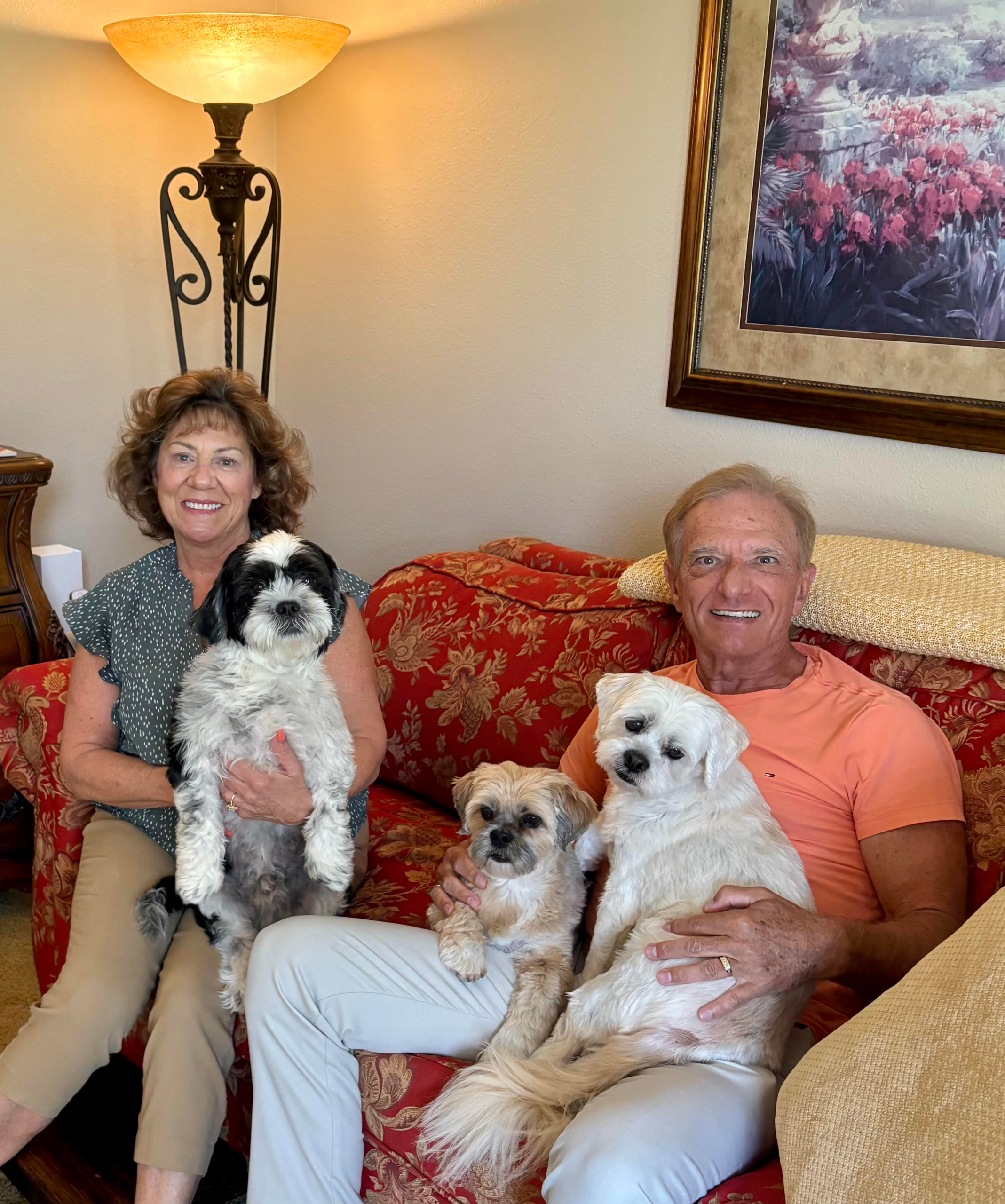 Batman is Home! - News - Poodle and Pooch Rescue of Florida